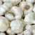 Gilroy Colossal Garlic – 5 lb. Box – Garlic World